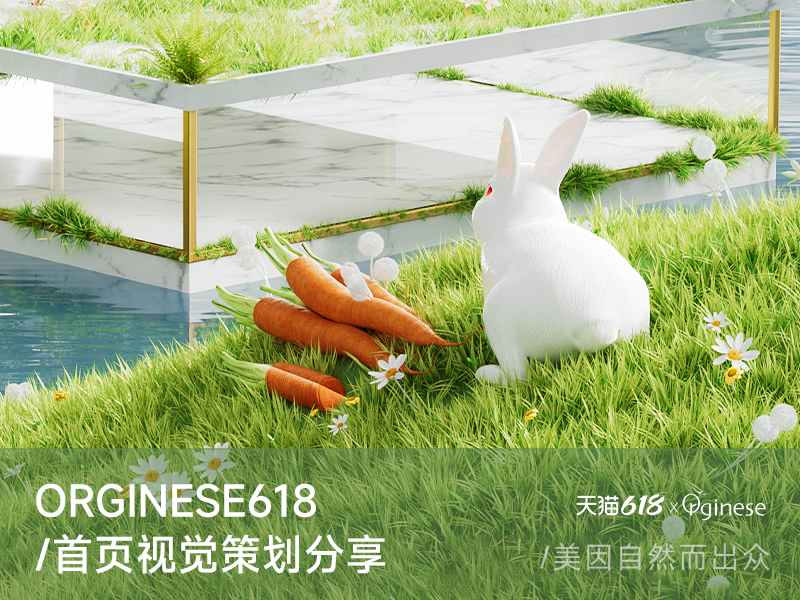 orginese 618首页_TJStudio-站酷ZCOOL