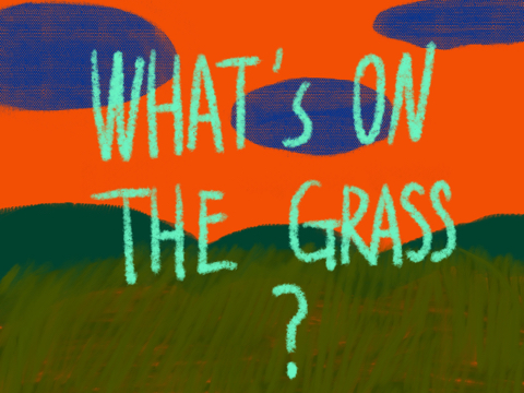 what on the grass_树犬_Quan-站酷ZCOOL