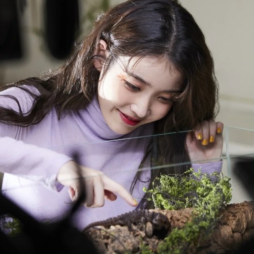 雨MoMo个人主页_杭州UI设计师-站酷ZCOOL