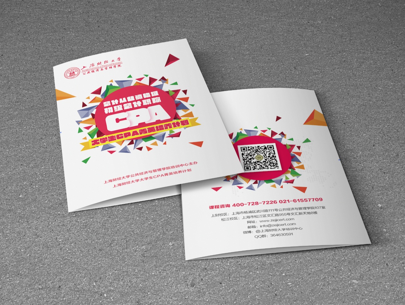 【扁平化折页】CPA菁英培养计划折页、留学折页_TonyMiao-站酷ZCOOL