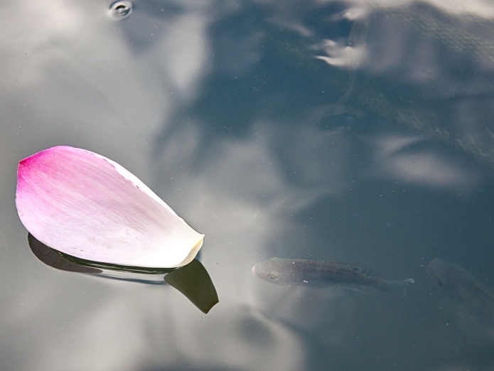 胡来_UU视觉设计-站酷ZCOOL