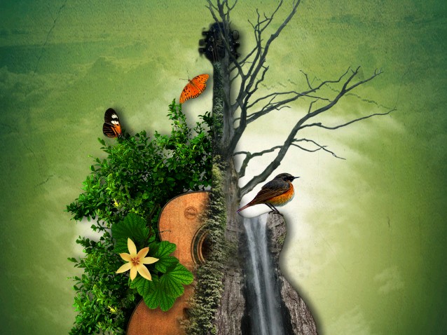 合成练习|吉他中的大自然_舒翔-站酷ZCOOL