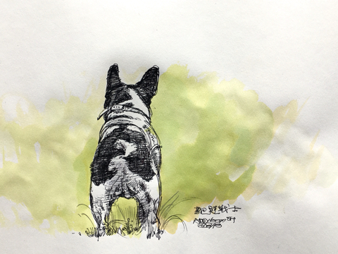 【斯巴達戰士】_addysoho-站酷ZCOOL