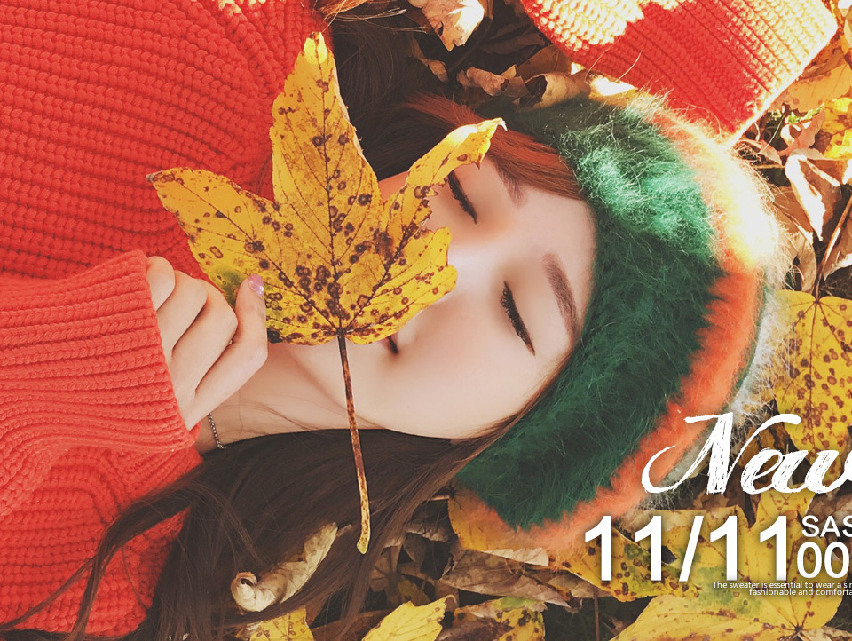 网红淘宝风格女装秋冬装2016海报banner电子商务_洋葱头0521-站酷ZCOOL