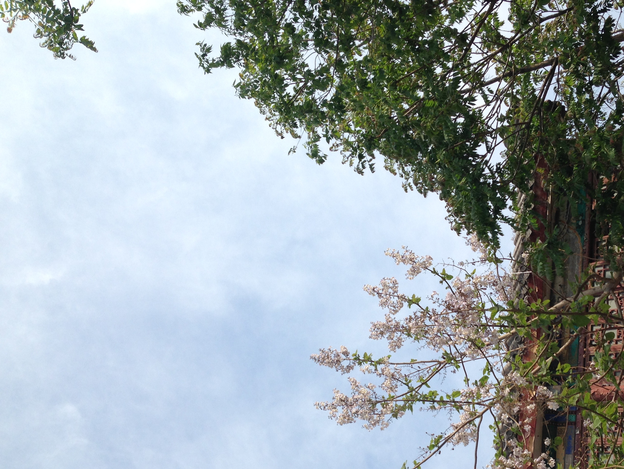 四月_Aki的设计梦想-站酷ZCOOL