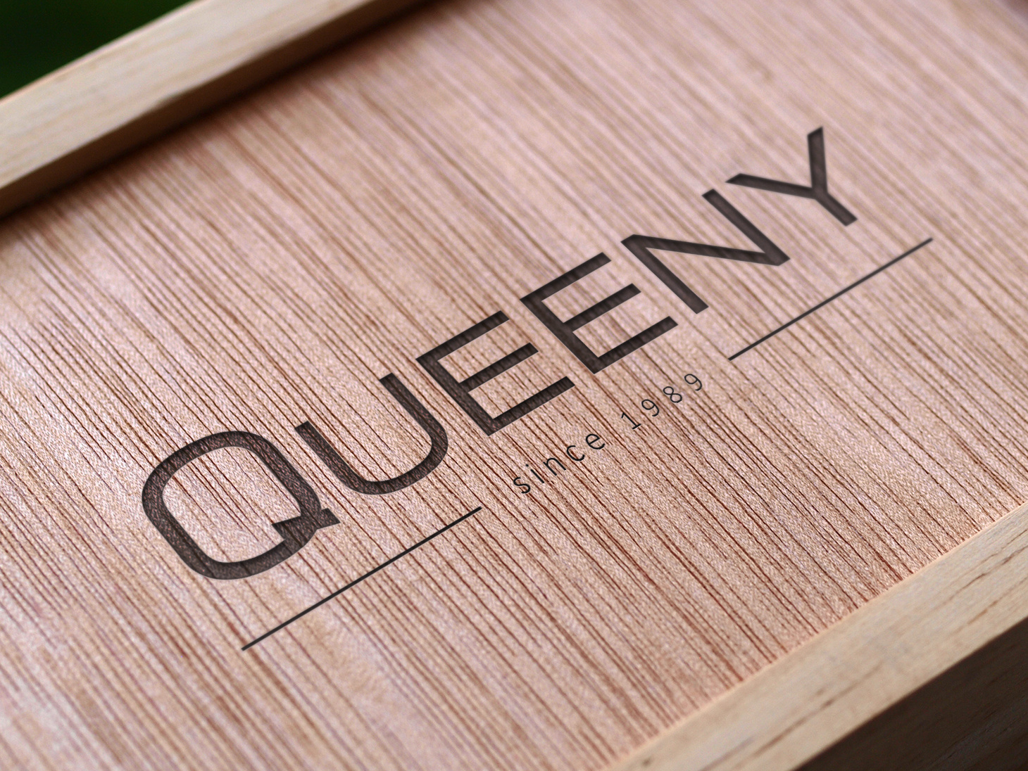 胡晓波logo班作业-护肤品品牌queeny_2XX2-站酷ZCOOL