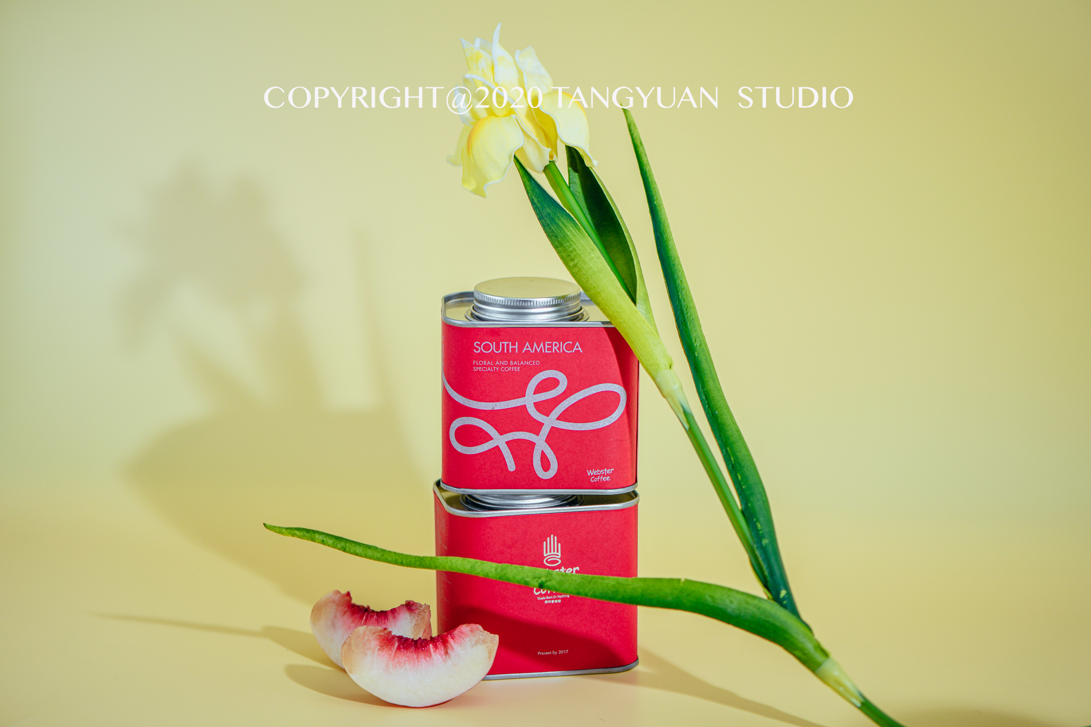 平面风 花_汤圆lux-站酷ZCOOL