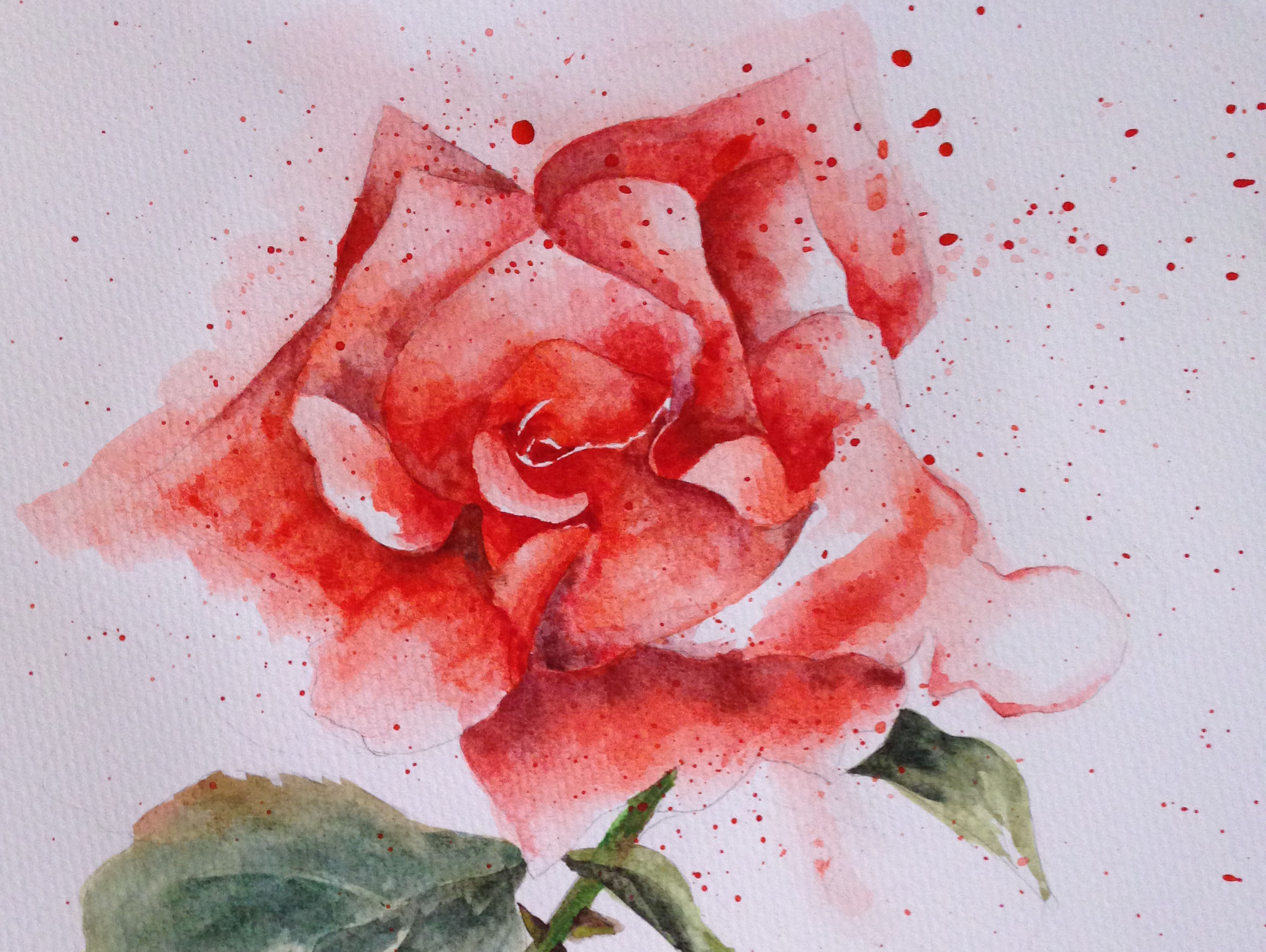 水彩玫瑰_fan2-站酷ZCOOL