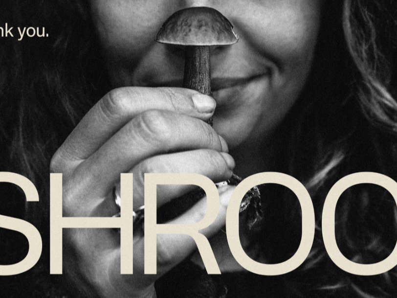 设计分享/SHROO_BranD杂志-站酷ZCOOL