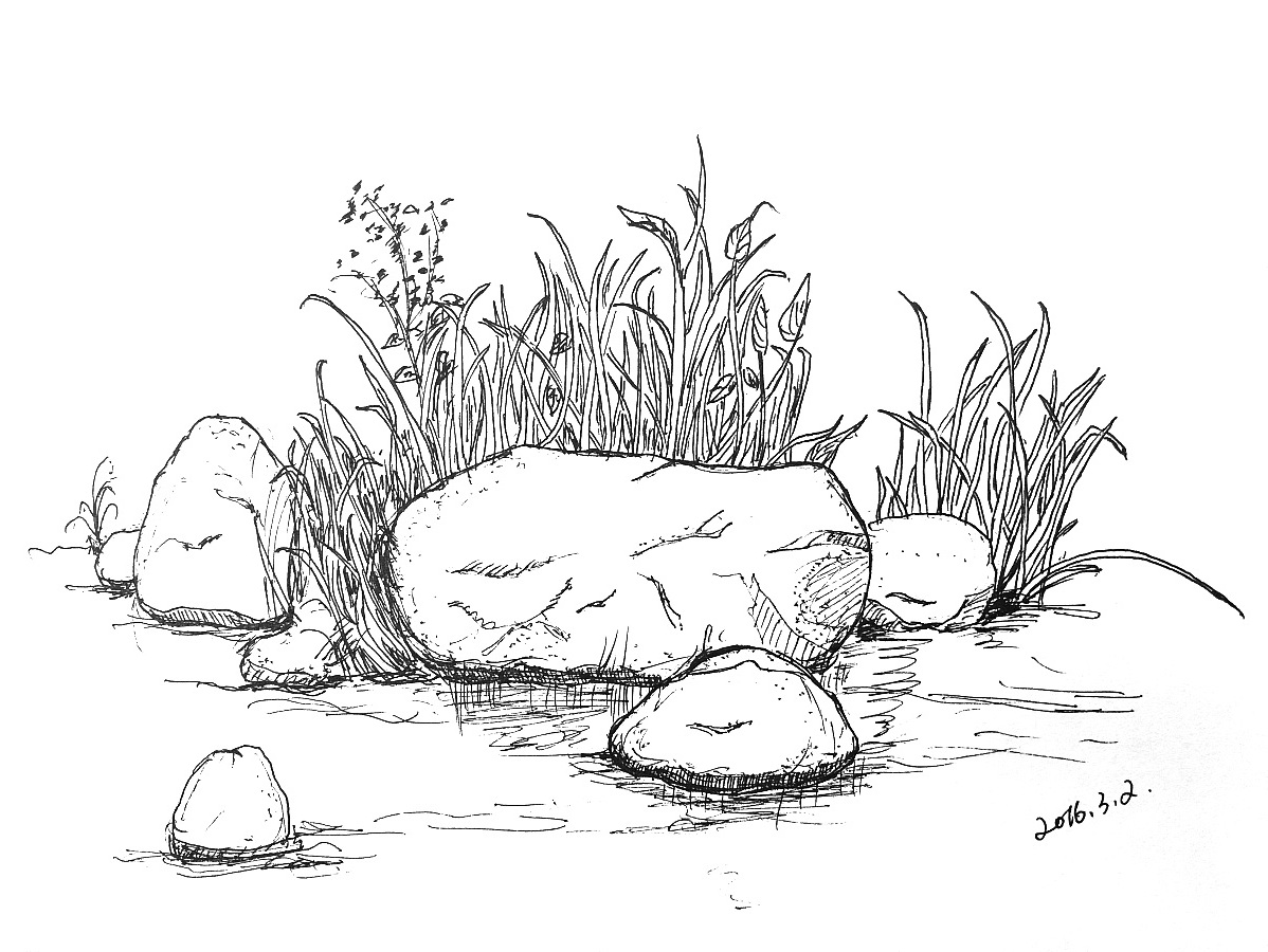 草木摇落露为霜_apus_2005-站酷ZCOOL