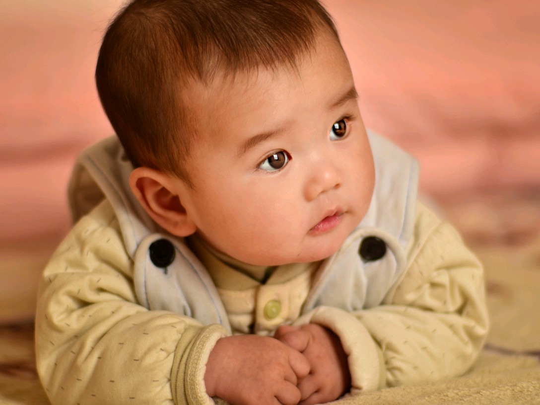 我们家的小可爱_杜少1998-站酷ZCOOL