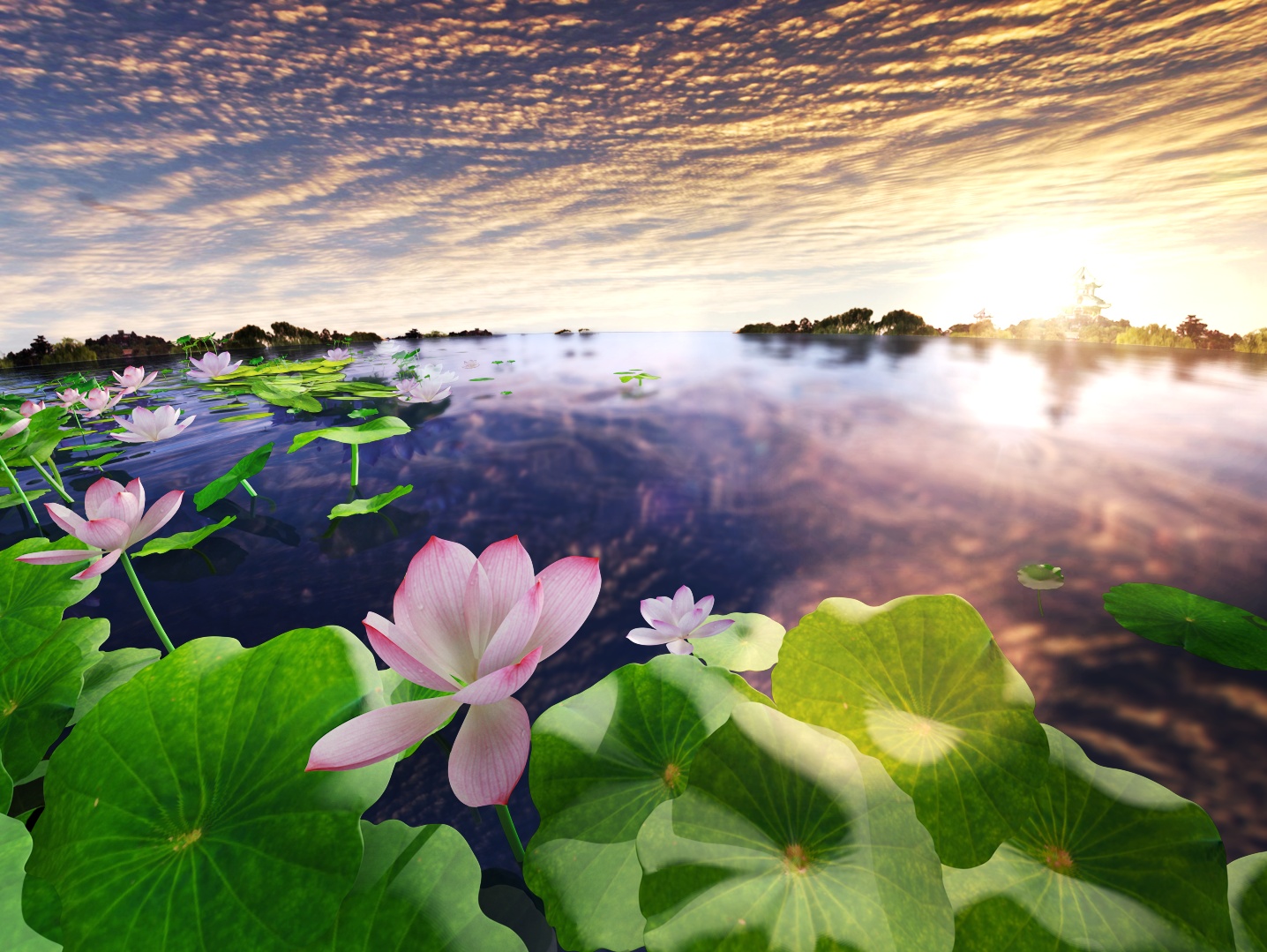 CCTV9 Dragon Boat Festival Packing 端午节背景版设计_NARTAI-站酷ZCOOL