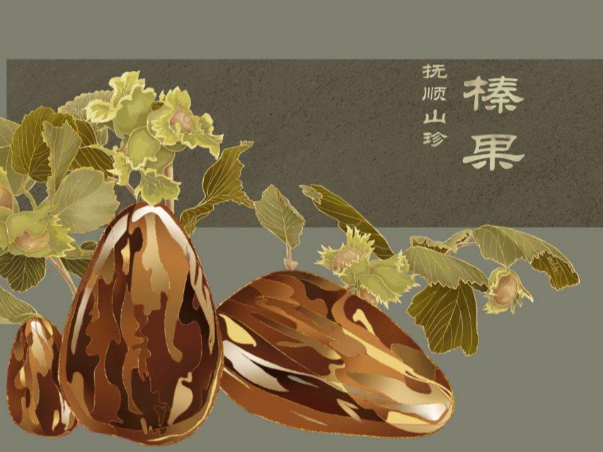 琥珀之都——抚顺_贝多贝BedoBee-站酷ZCOOL