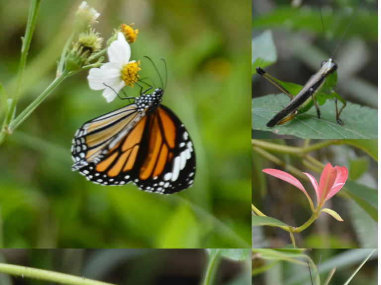 摄影作品_Judy_1066-站酷ZCOOL