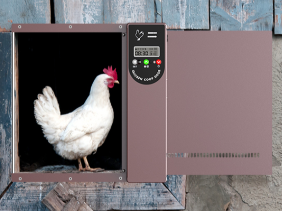 亚马逊-鸡舍门3_Daminz-站酷ZCOOL