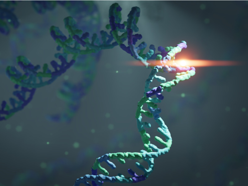 一簇DNA_Bio_Craft-站酷ZCOOL