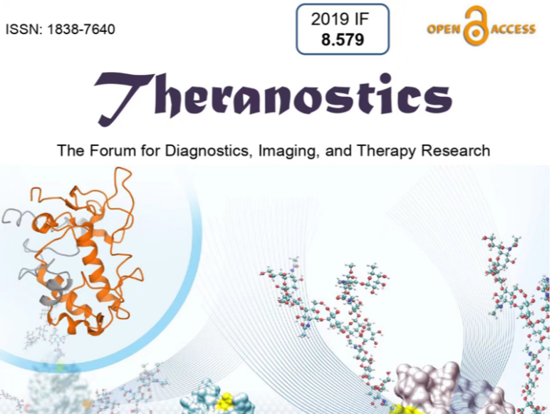 Theranostics期刊封面图_scihua-站酷ZCOOL