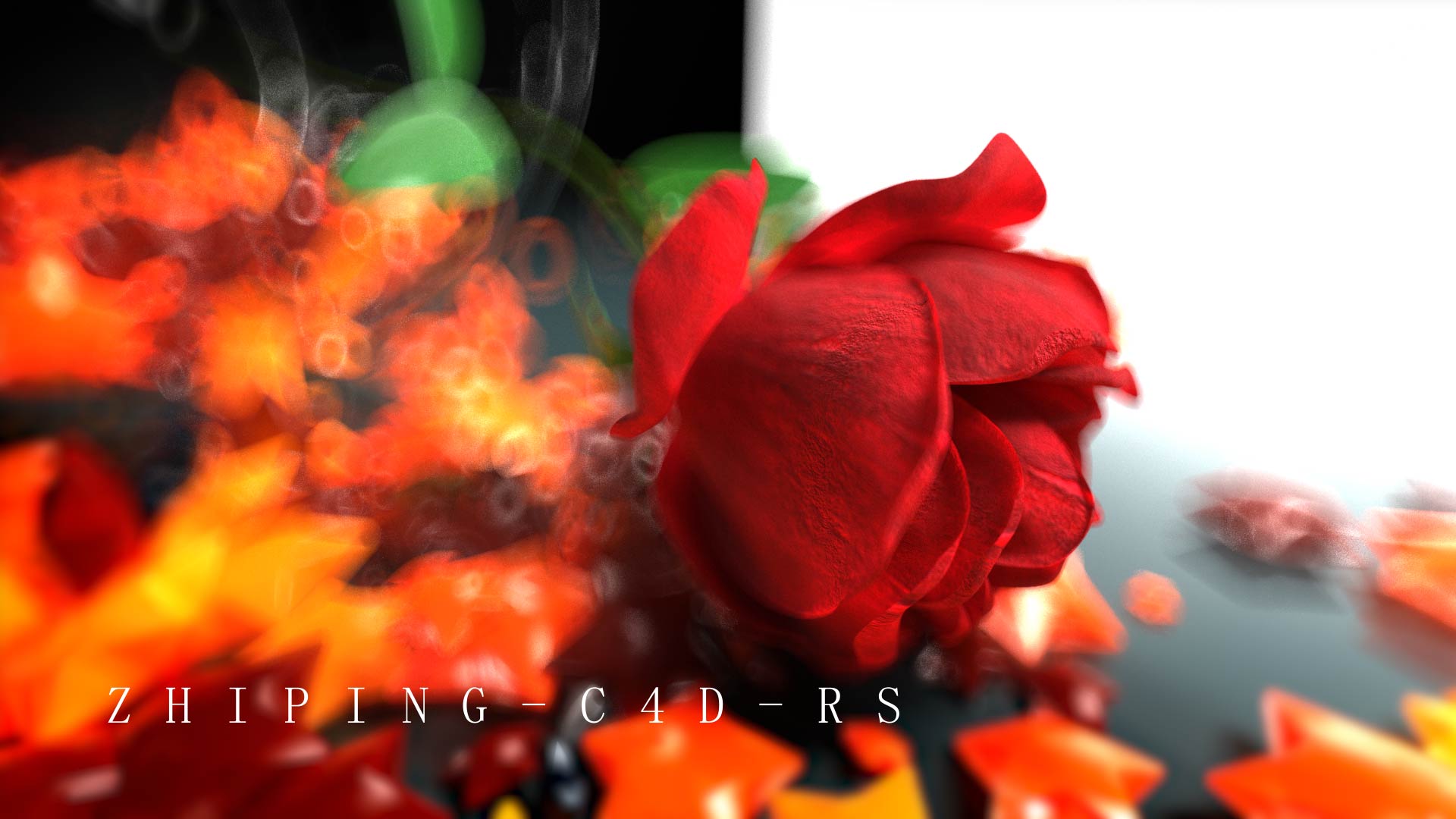 玫瑰花C4D RS _光影里的渔夫-站酷ZCOOL