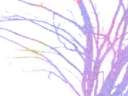 樱之季 我们相会_K_ON_XXD-站酷ZCOOL