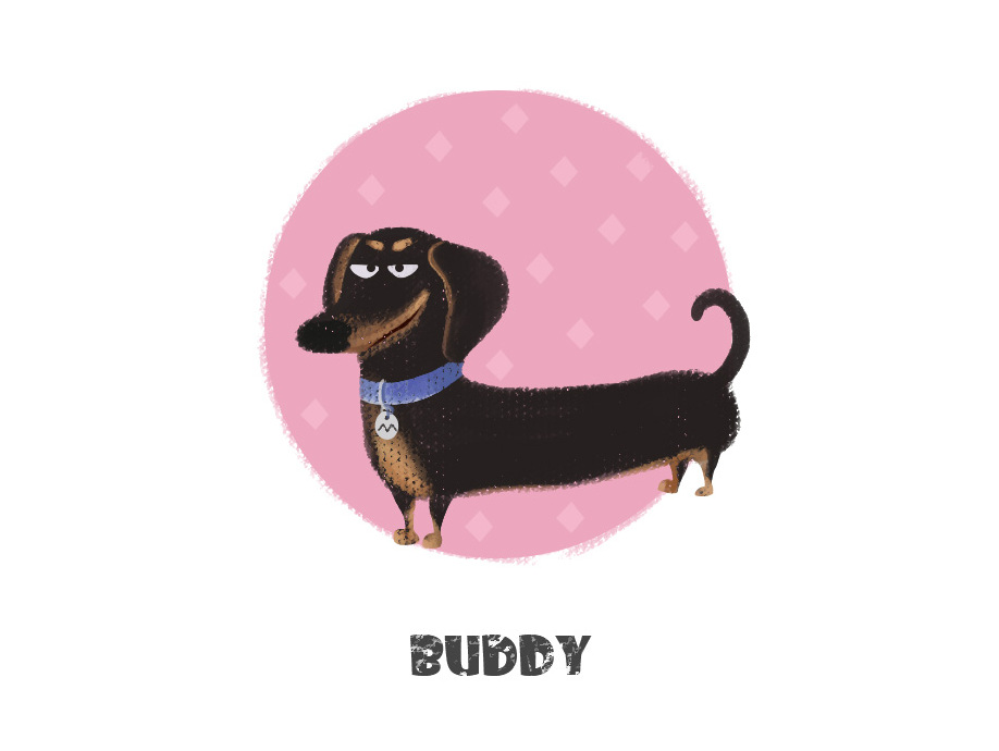 爱宠大机密-卡通手绘练习_FD_Yuet-站酷ZCOOL