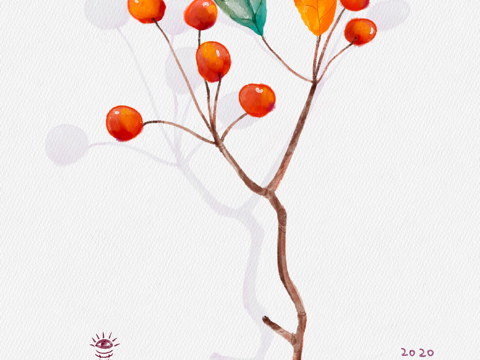 冬天想吃夏天的水果_LAMDOOM-站酷ZCOOL