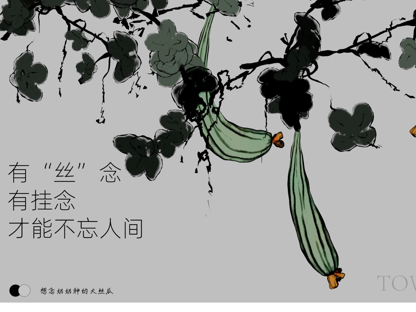 丝瓜三渲二_米草MIC-站酷ZCOOL