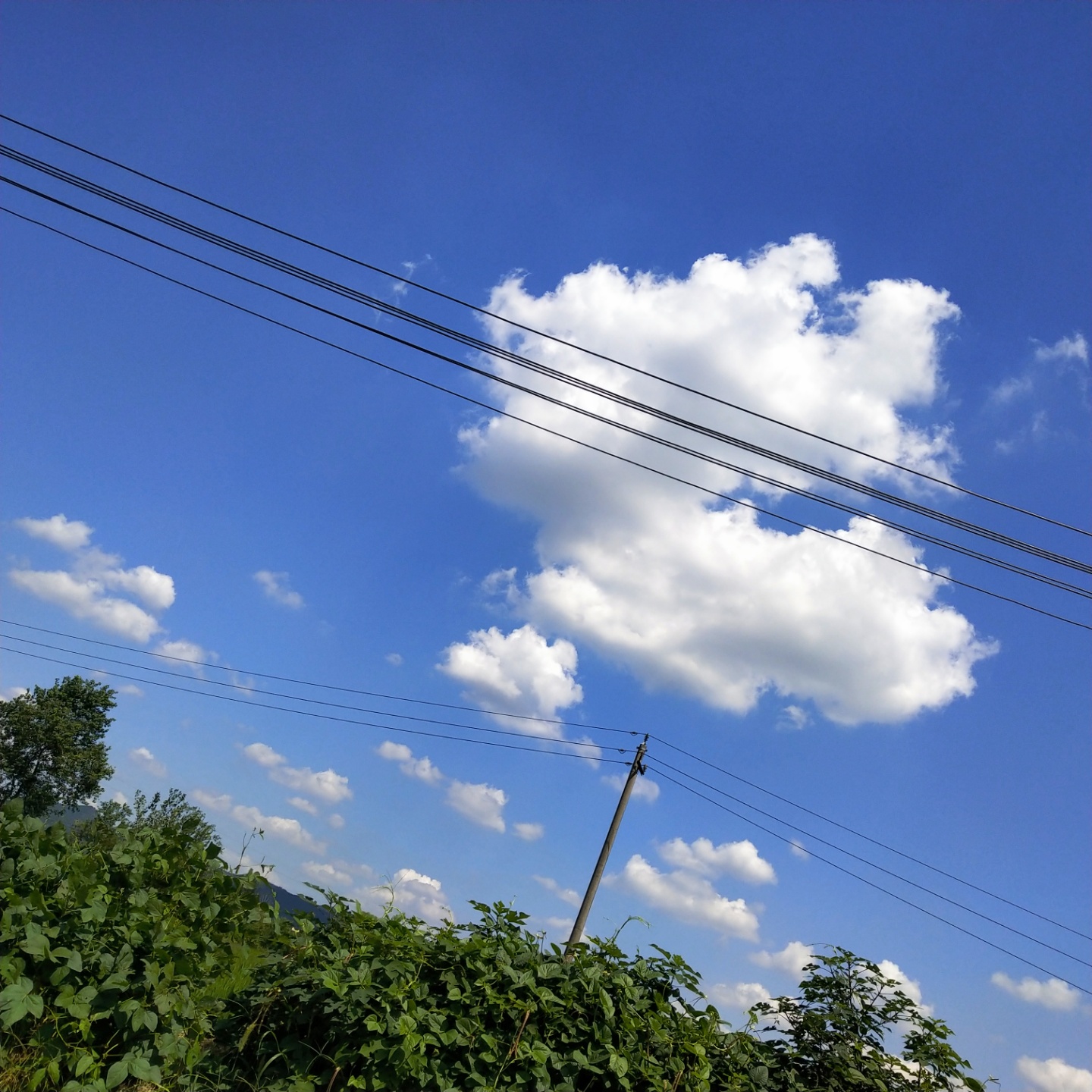 日常_两个檬-站酷ZCOOL