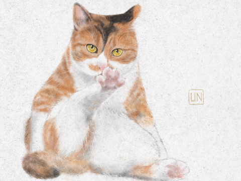 给你吃jio_0Lin0-站酷ZCOOL