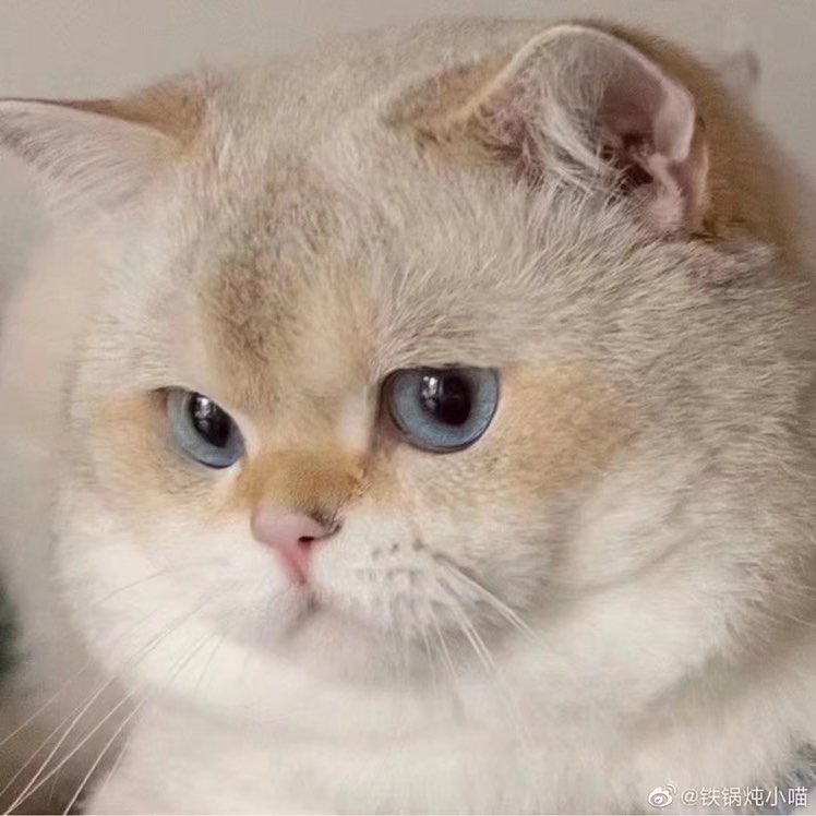 HEYCOCO创作者主页_茂名学生-站酷ZCOOL