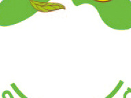 封口膜_AnnyJJ-站酷ZCOOL