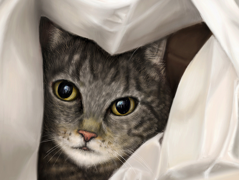 练习_maxzcl-站酷ZCOOL