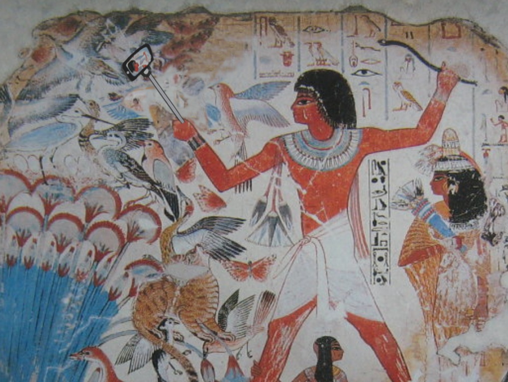 Catching Birds---捕禽时自拍一张，我正在狩猎哦_WAOpeipei-站酷ZCOOL