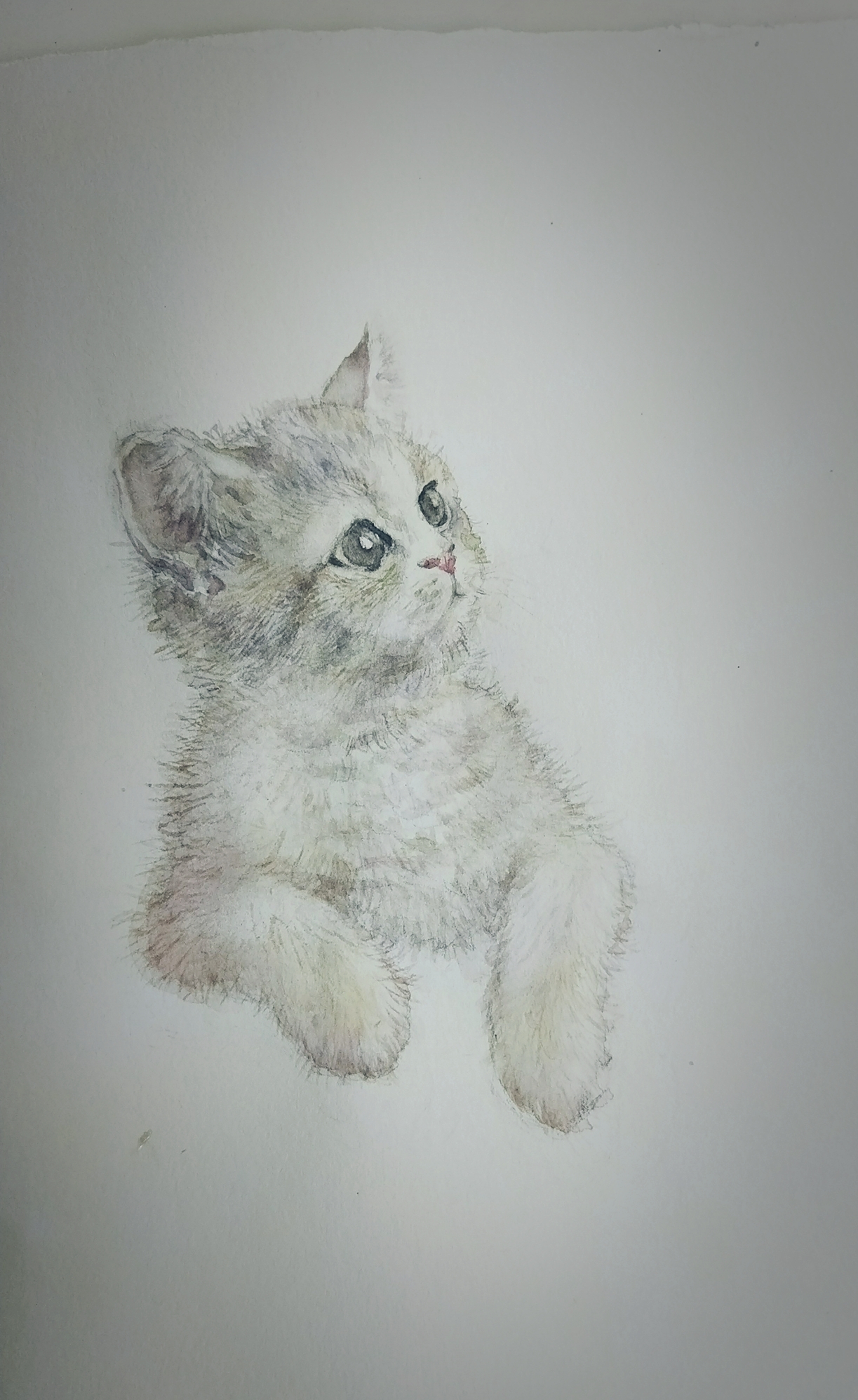 习作_叶靓790508-站酷ZCOOL