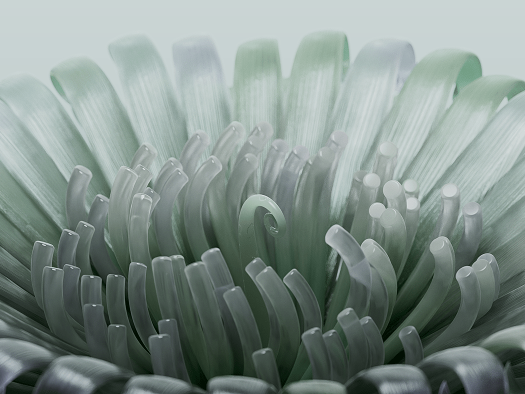 Bananain-Power of Support_Sparker啪嚓-站酷ZCOOL