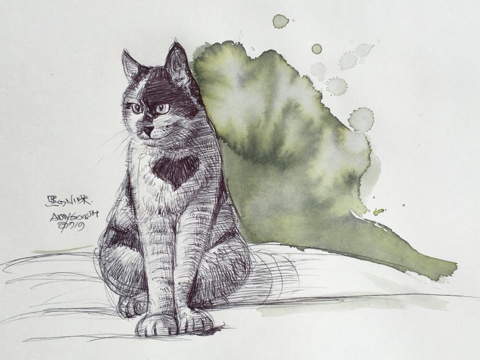 【真黑心的小咪】_addysoho-站酷ZCOOL