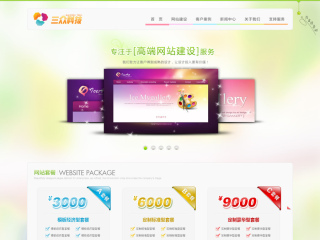 科技网络公司网站_venus_微笑-站酷ZCOOL