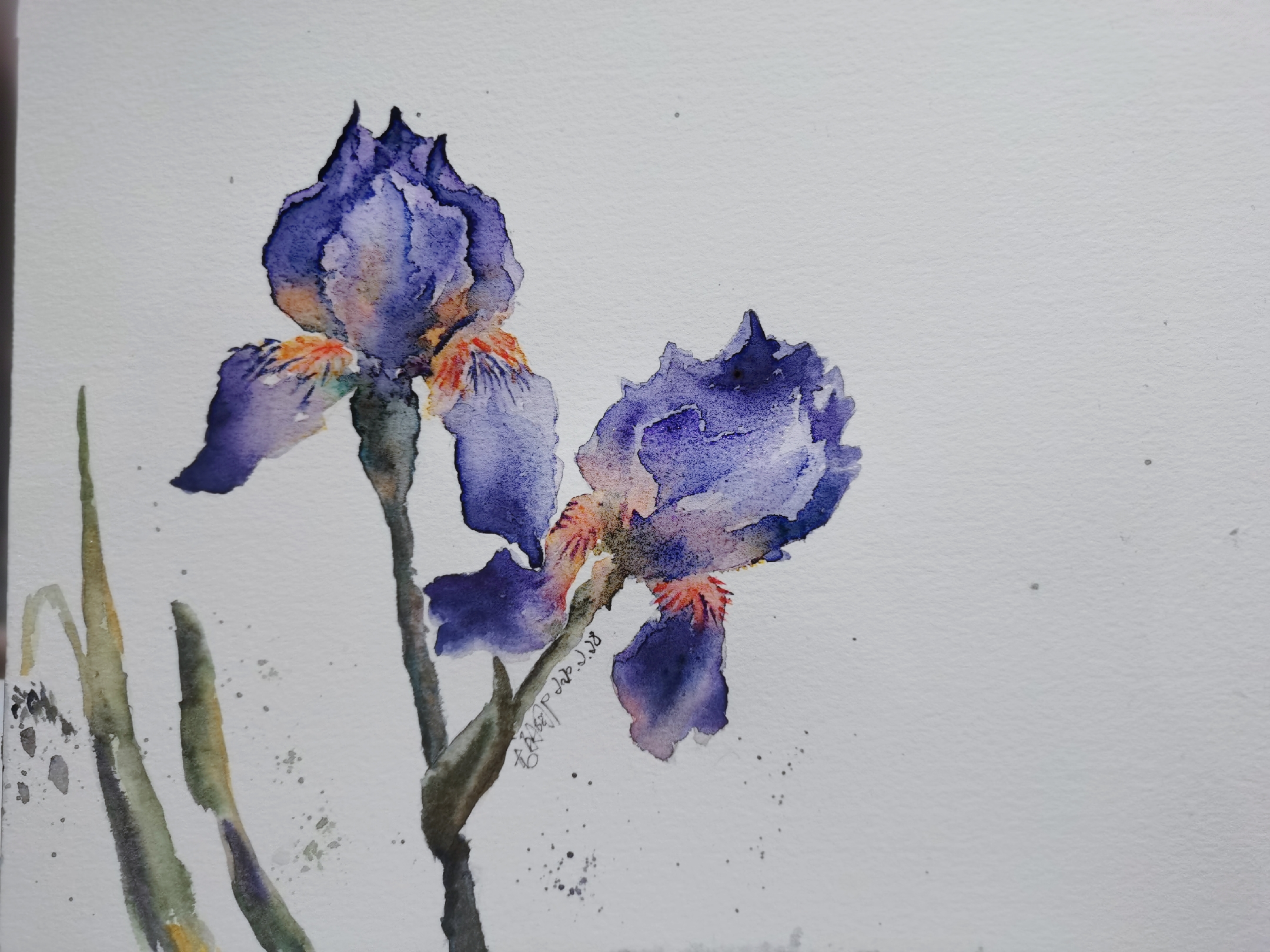 临摹_龙_Lena-站酷ZCOOL