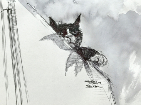 【熊熊的大咪】_addysoho-站酷ZCOOL