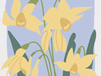 临摹练习_VVV是Vicky-站酷ZCOOL