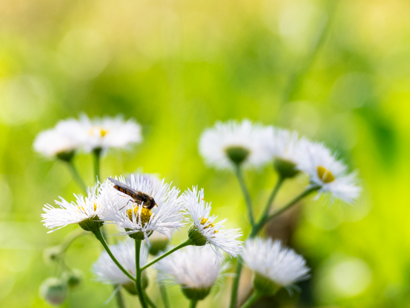 秋天的颜色_李洋_LY-站酷ZCOOL