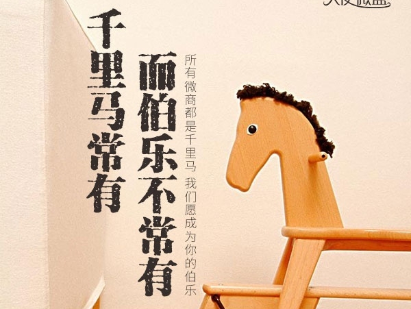 公司宣传_Findwhy-站酷ZCOOL