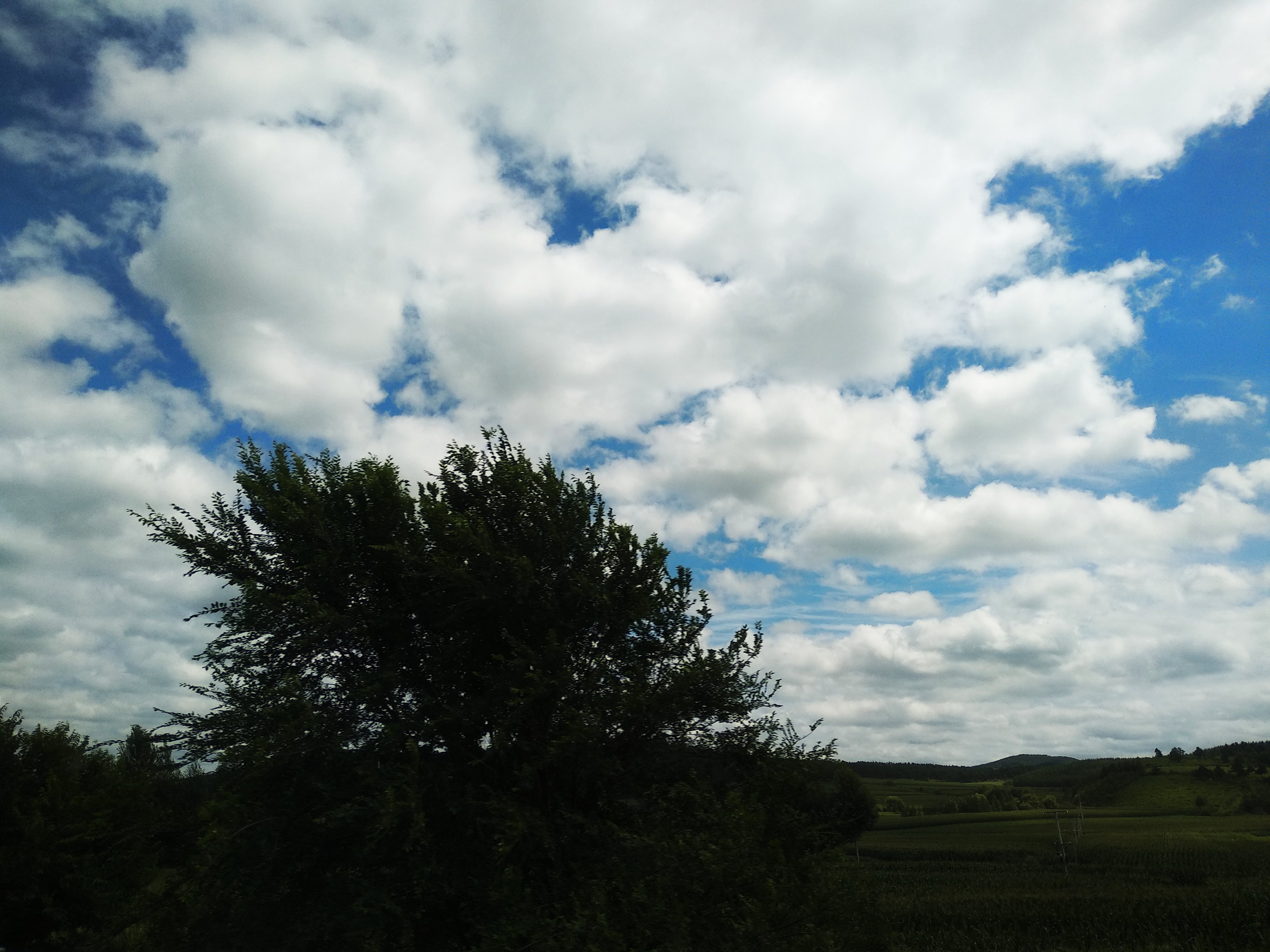 Day 178_爱设计的Alex-站酷ZCOOL