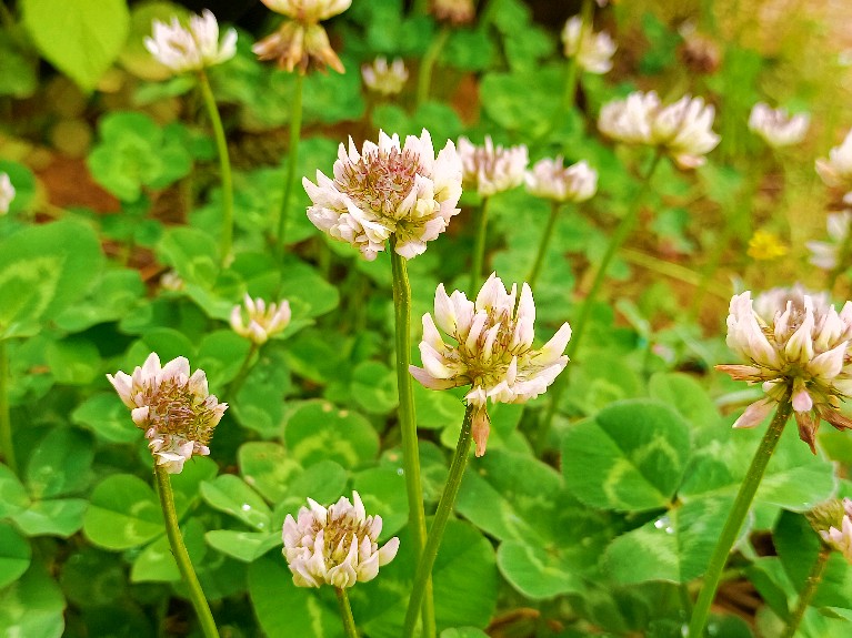 随记_可把你牛逼坏了-站酷ZCOOL