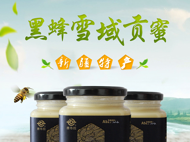 新疆伊犁天然黑蜂蜂蜜药蜜天猫京东淘宝详情页_Alisa_Somnus-站酷ZCOOL