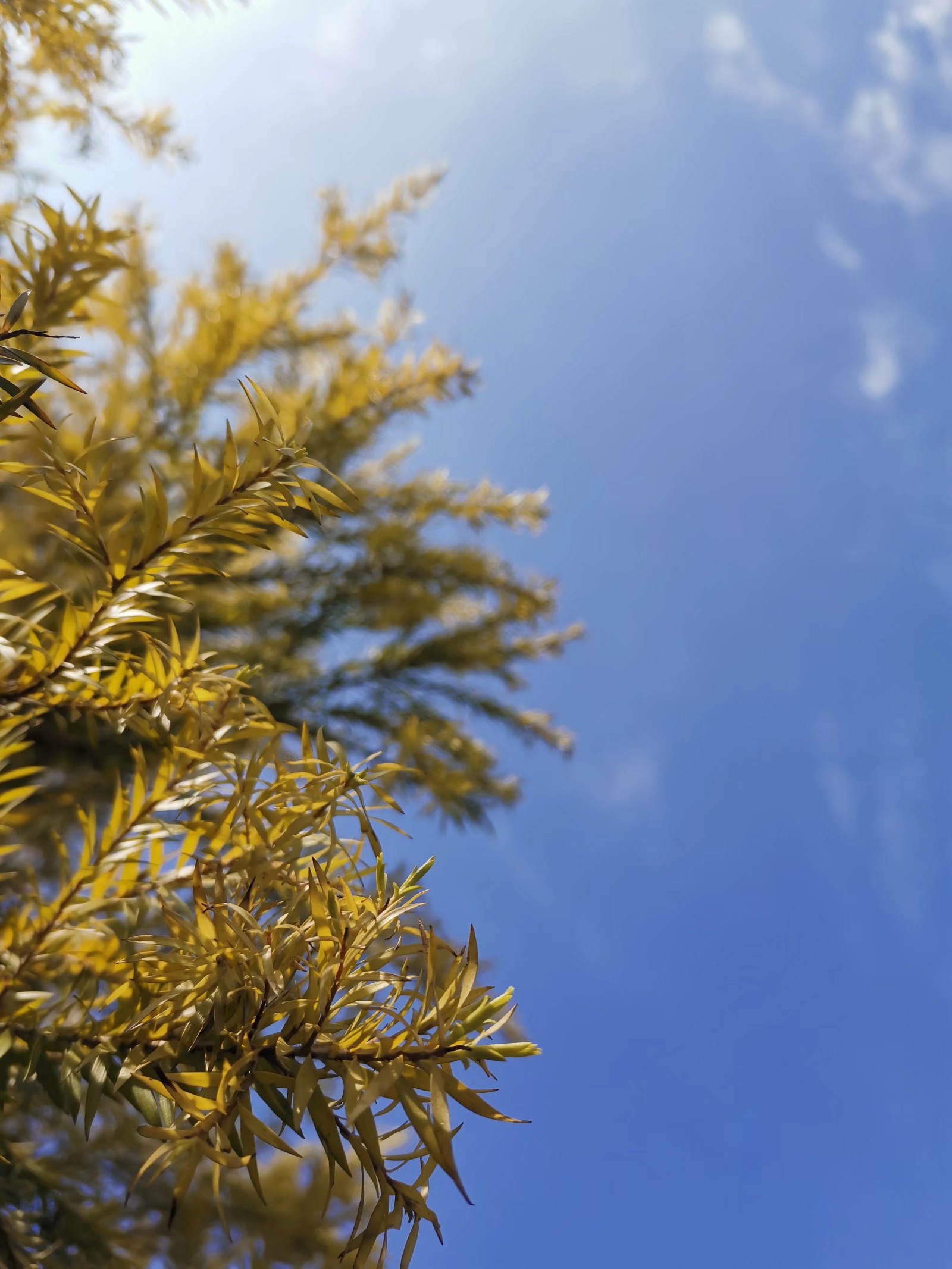 夏_打怪鱼-站酷ZCOOL