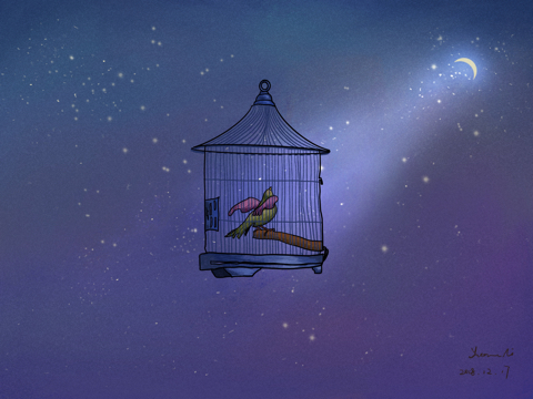 插画练习作品_木子李乙Yvonne-站酷ZCOOL