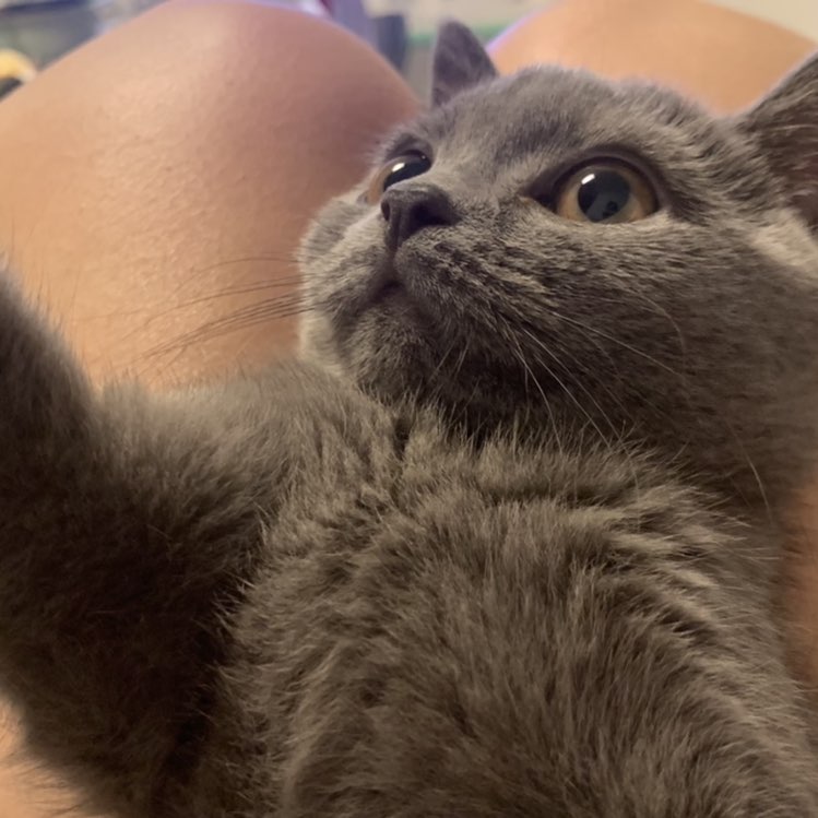 UooHa创作者主页_长沙学生-站酷ZCOOL