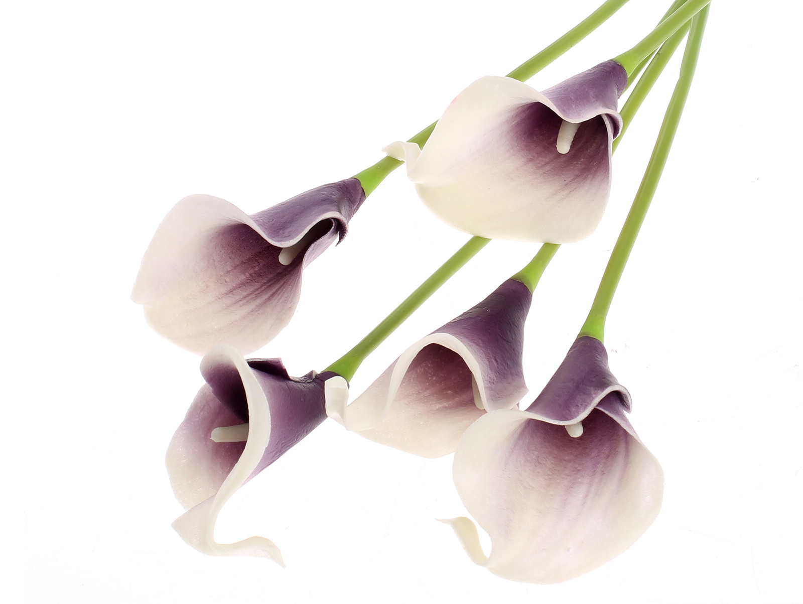 产品拍摄—仿真花_杨YQC-站酷ZCOOL