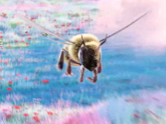 HUAWEI HC 2022 OPENING _dahaiStudio-站酷ZCOOL