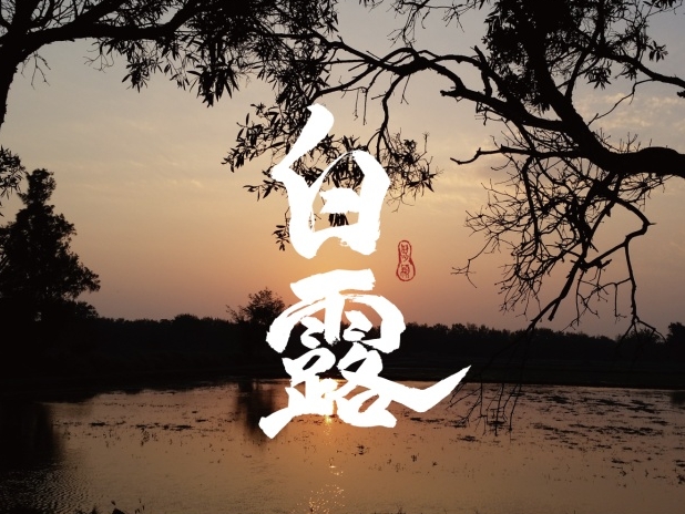 [24節氣] 白露_做作的Daphne-站酷ZCOOL